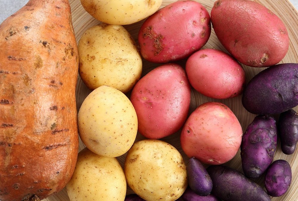 All | AGROPACK Solutions